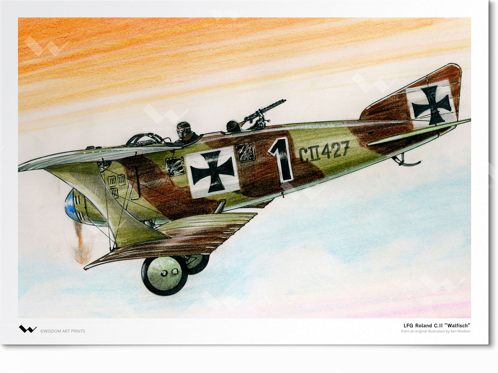 LFG Roland C.II "Walfisch" – Wisdom Art Prints