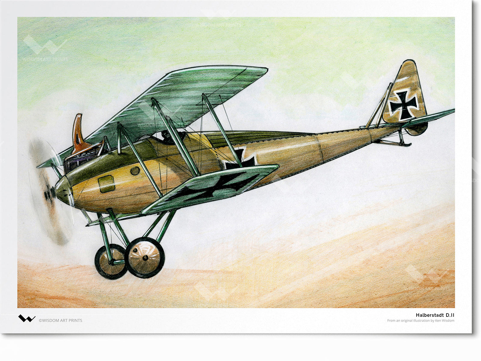 Halberstadt D.II – Wisdom Art Prints