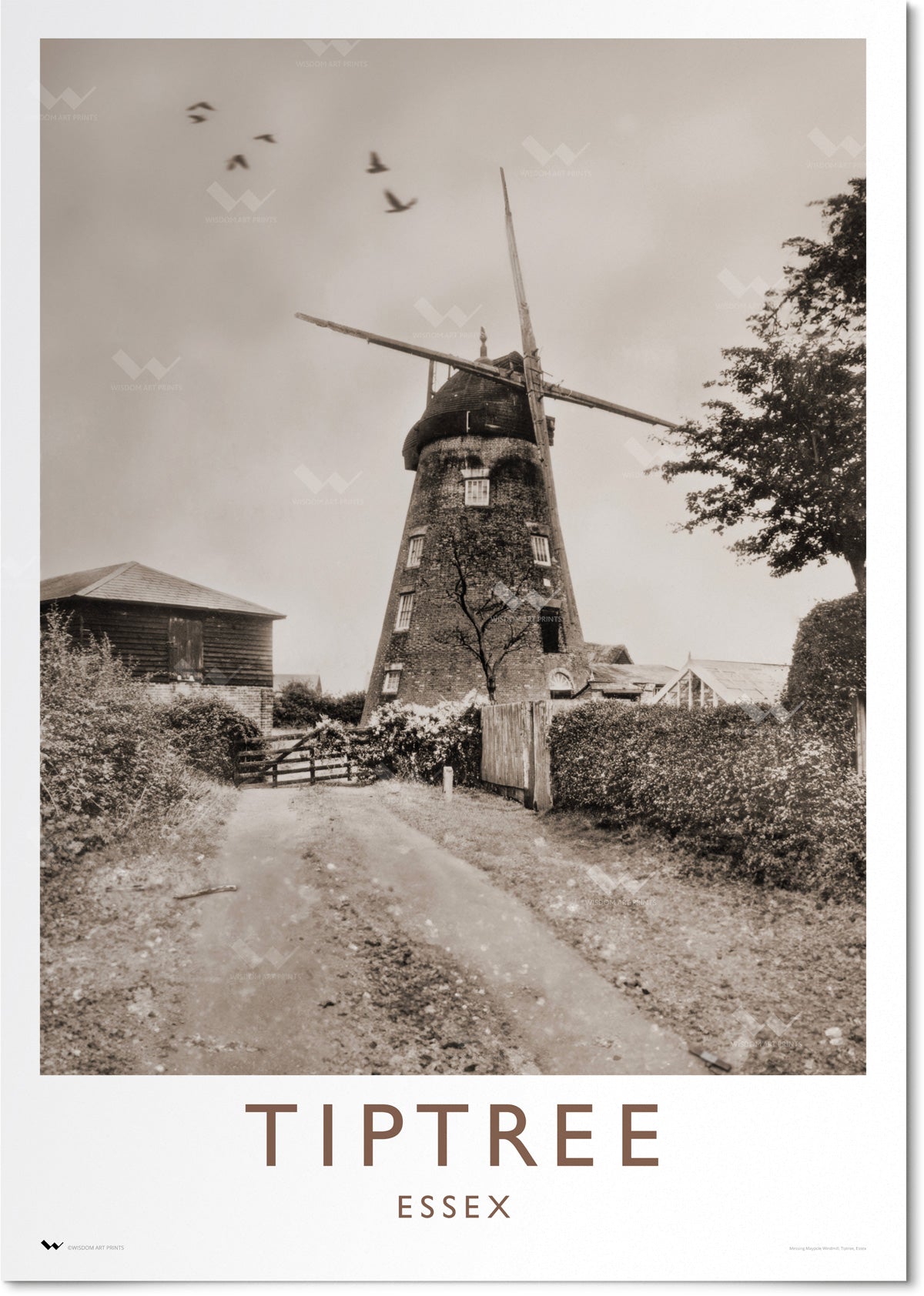 Tiptree Windmill (Messing Maypole Mill) Art Print – Wisdom Art Prints